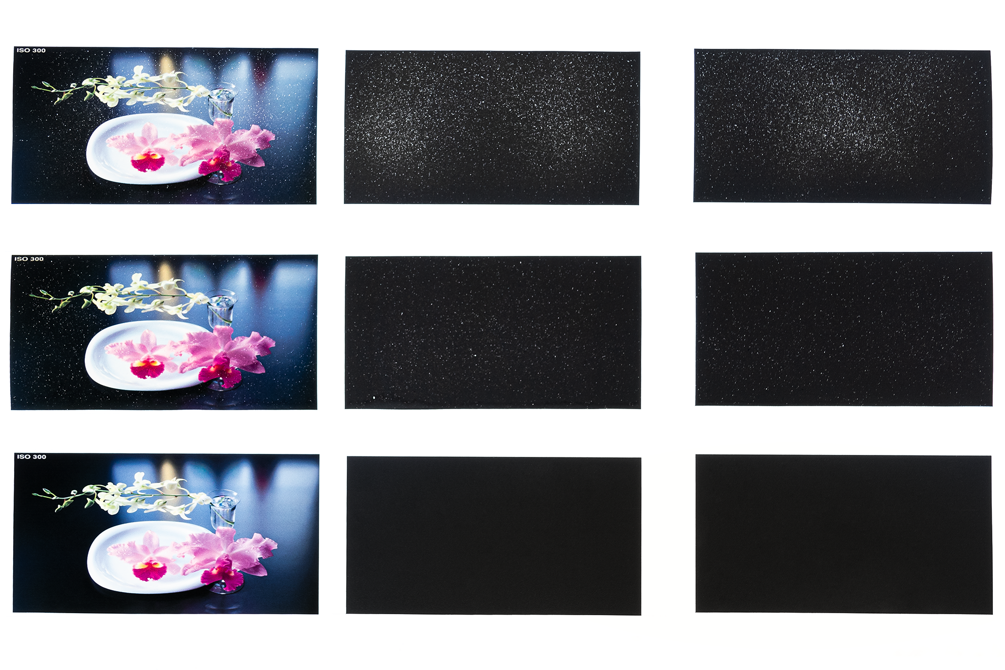 DTF Film Troubleshooting #9: Beat The White Spots — Get Brighter Prints ...
